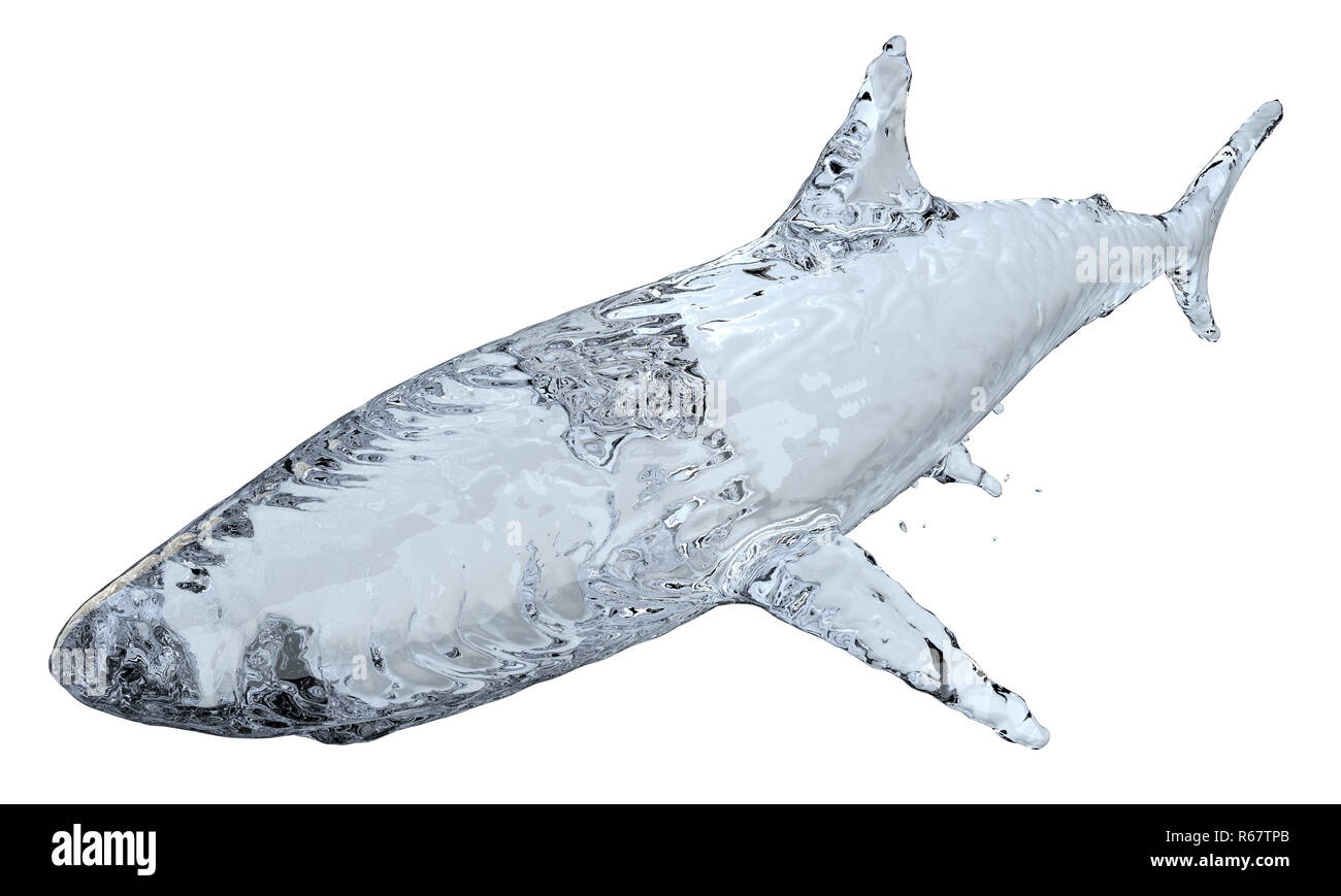 Water shark isolated on white background Stock Photo - Alamy