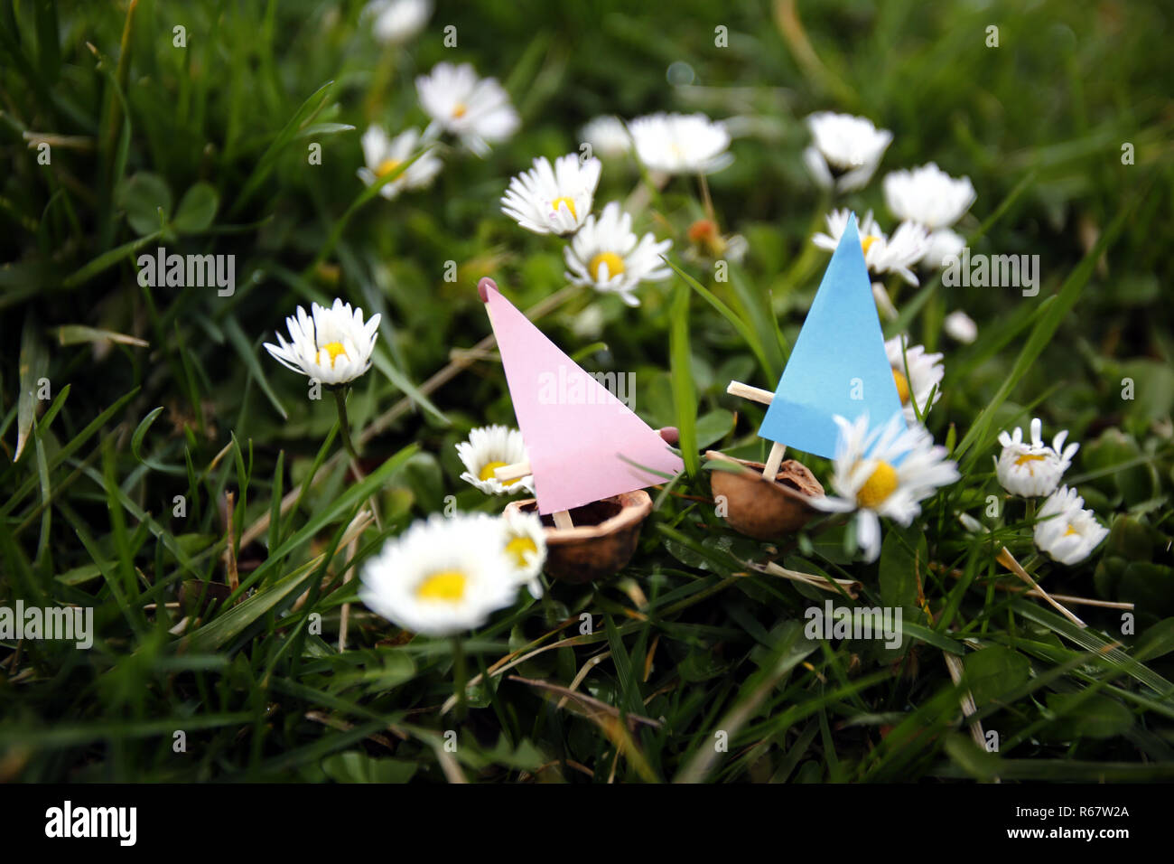 Little decorative ship from nuts Stock Photo - Alamy