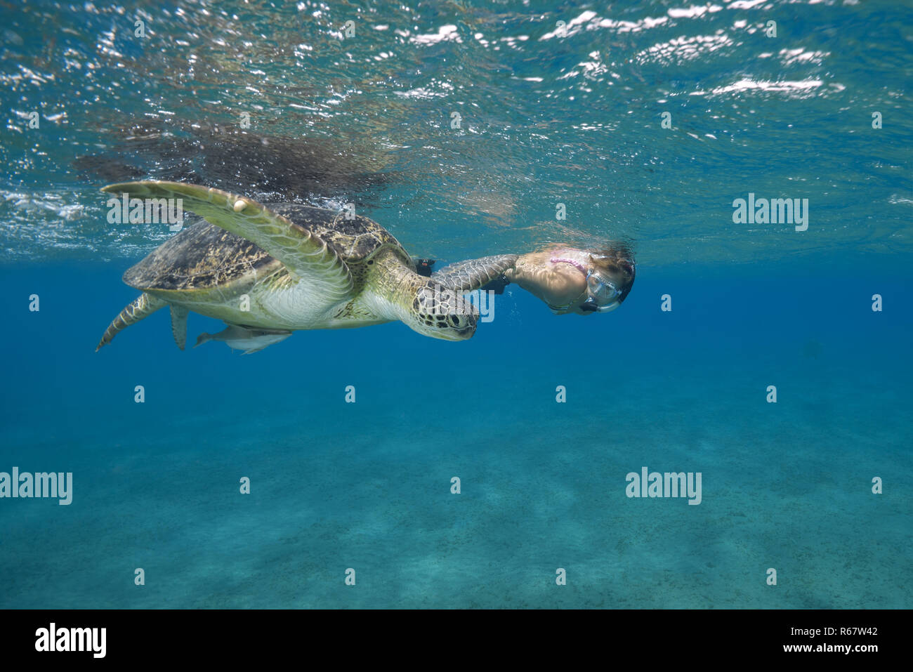 Woman with fins hi-res stock photography and images - Alamy