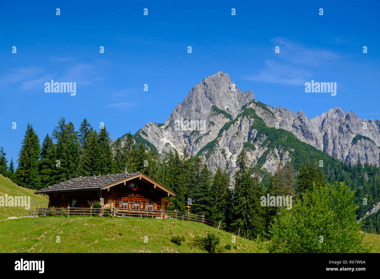Litzlalm, in the back Mühlsturzhörner of the horse-rider Alm, Pinzgau ...