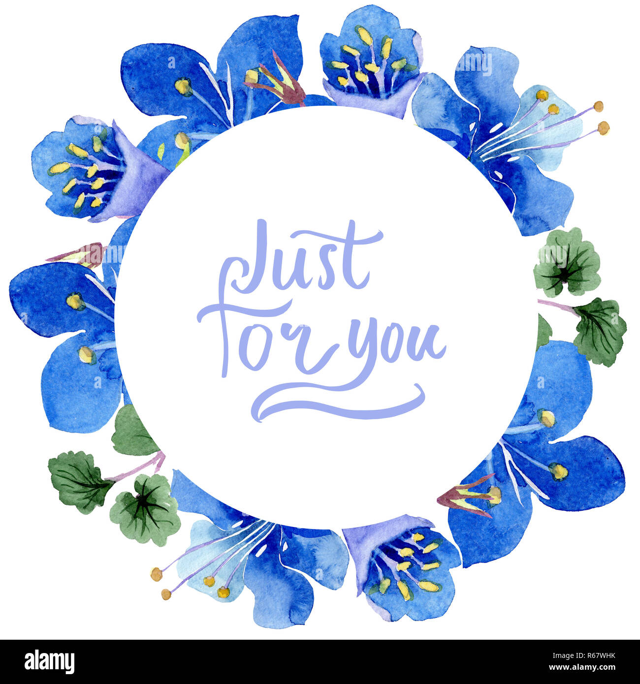 Blue phacelia flower. Watercolor background. Frame floral round. Just ...