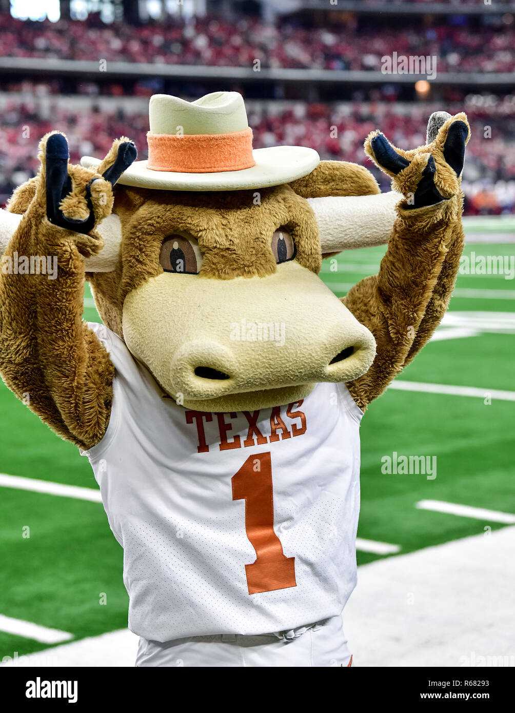 Texas longhorns mascot hi-res stock photography and images - Alamy