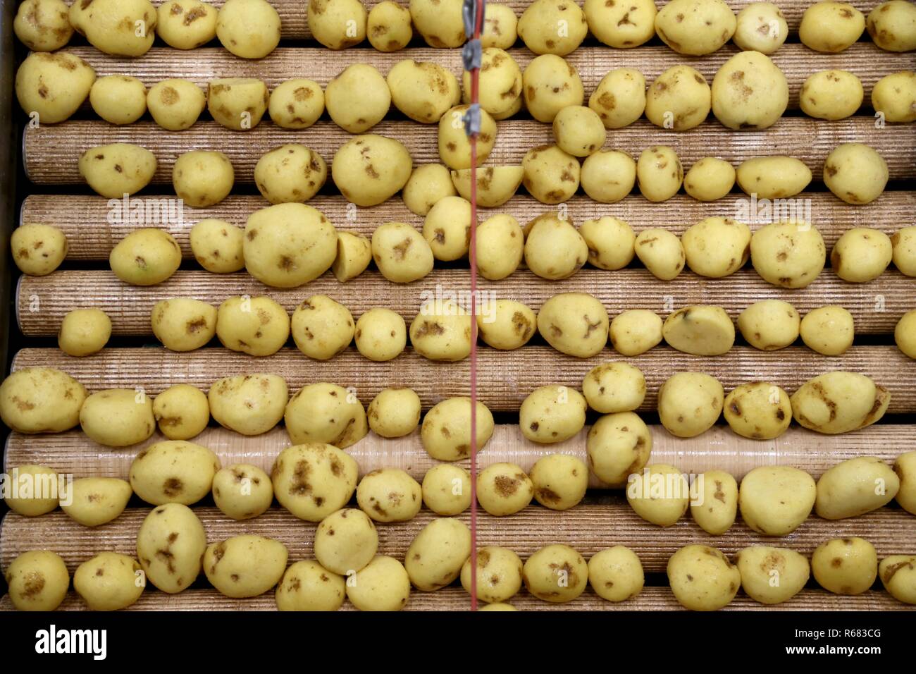 Lays crisps production line at the Frito-Lay factory on November 22 ...
