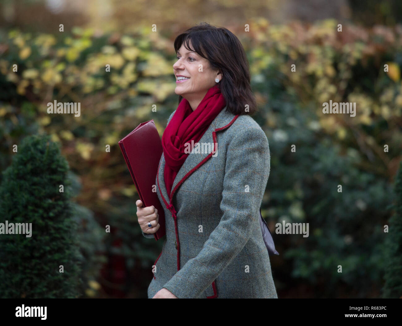 Downing Street, London, UK. 4 December 2018. Claire Perry, Minister of ...
