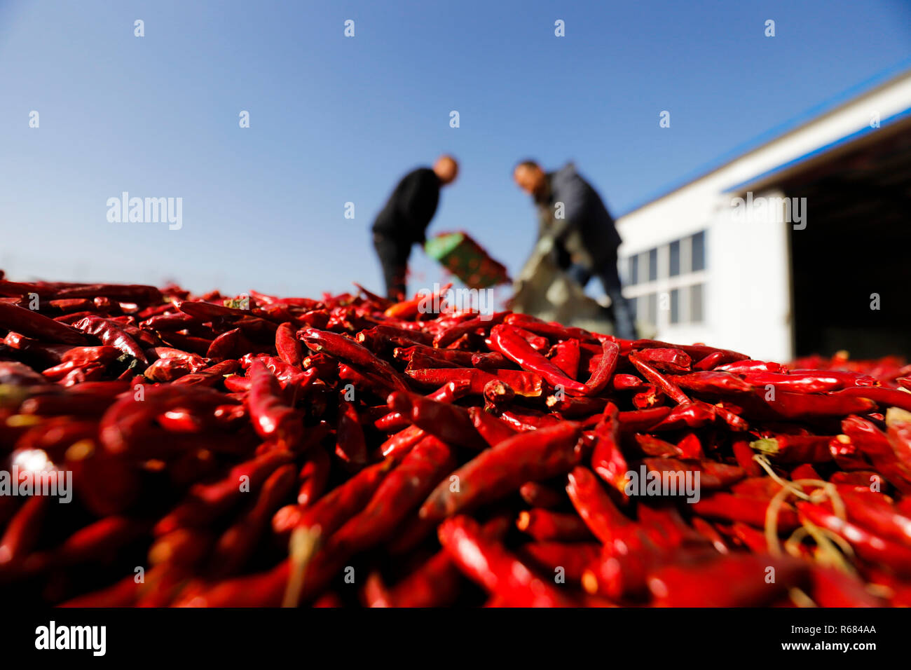 Liu yutian hi-res stock photography and images - Alamy
