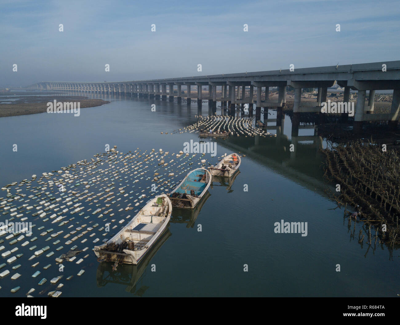 Fotan hi-res stock photography and images - Alamy