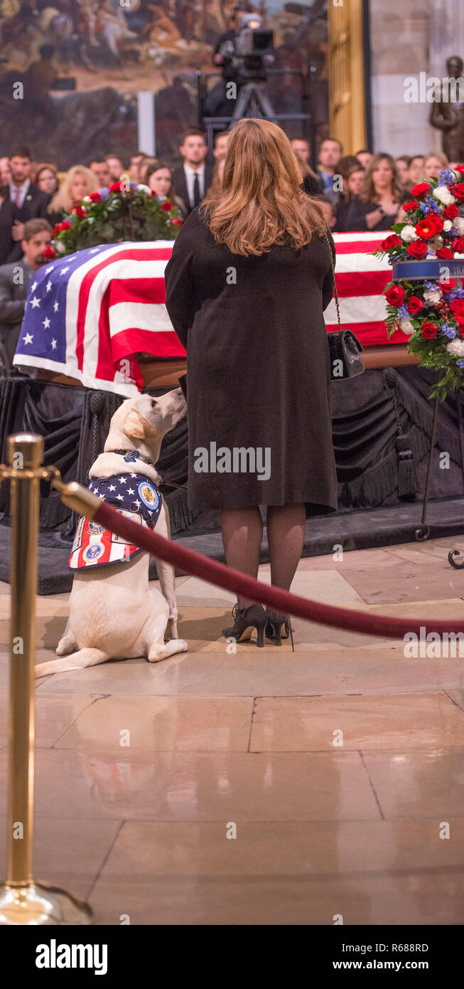 Sully the service dog hi-res stock photography and images - Alamy