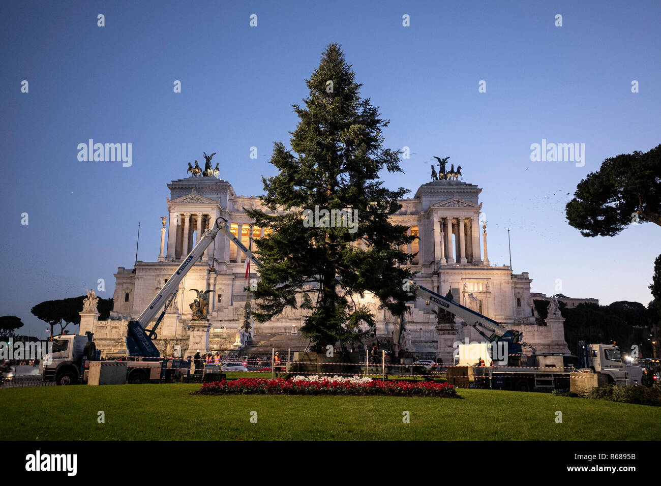 Foto Carlo Lannutti/LaPresse 04- 12 - 2018 Roma, Italia Cronaca. Albero ...