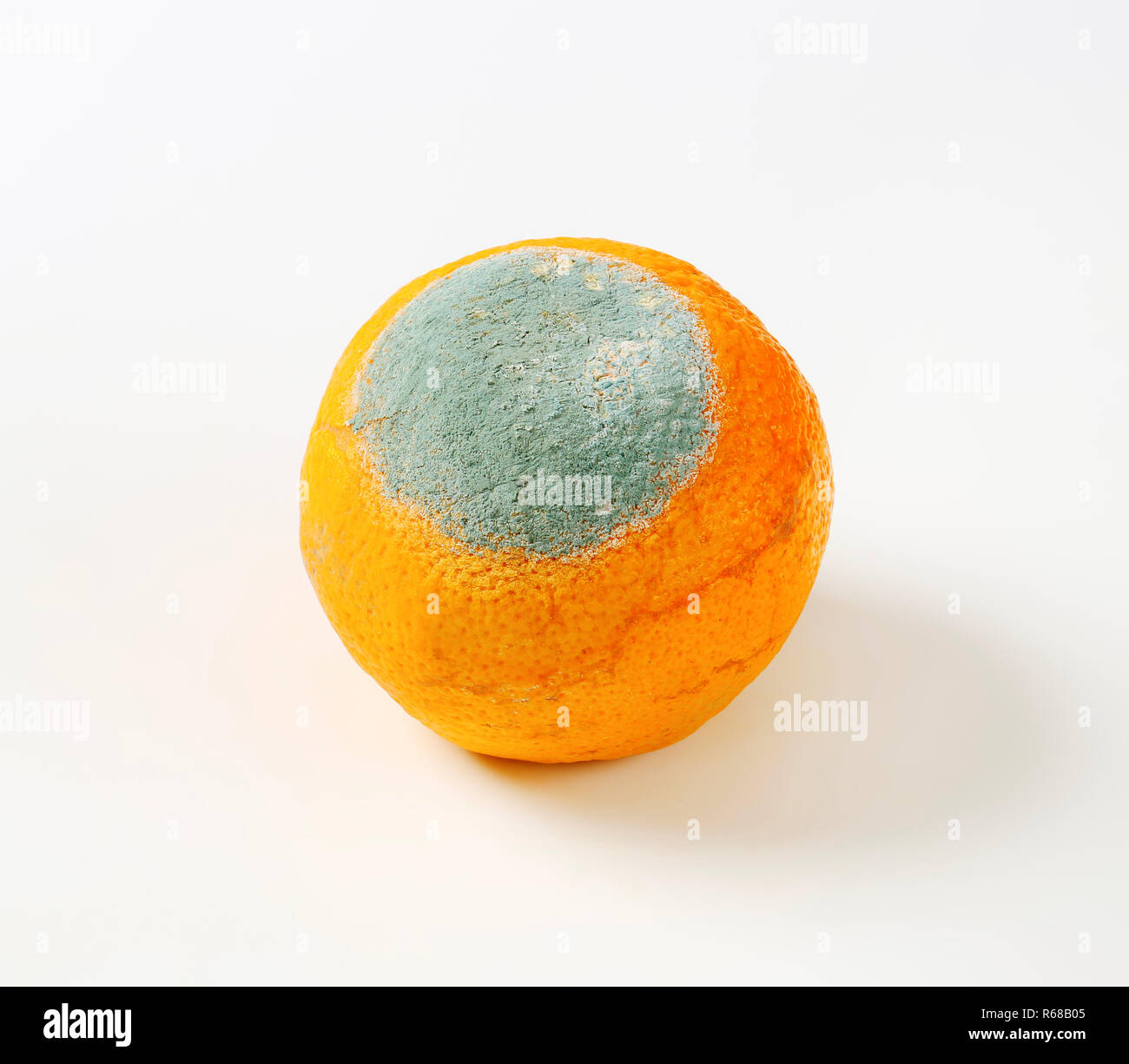 one rotten orange Stock Photo - Alamy
