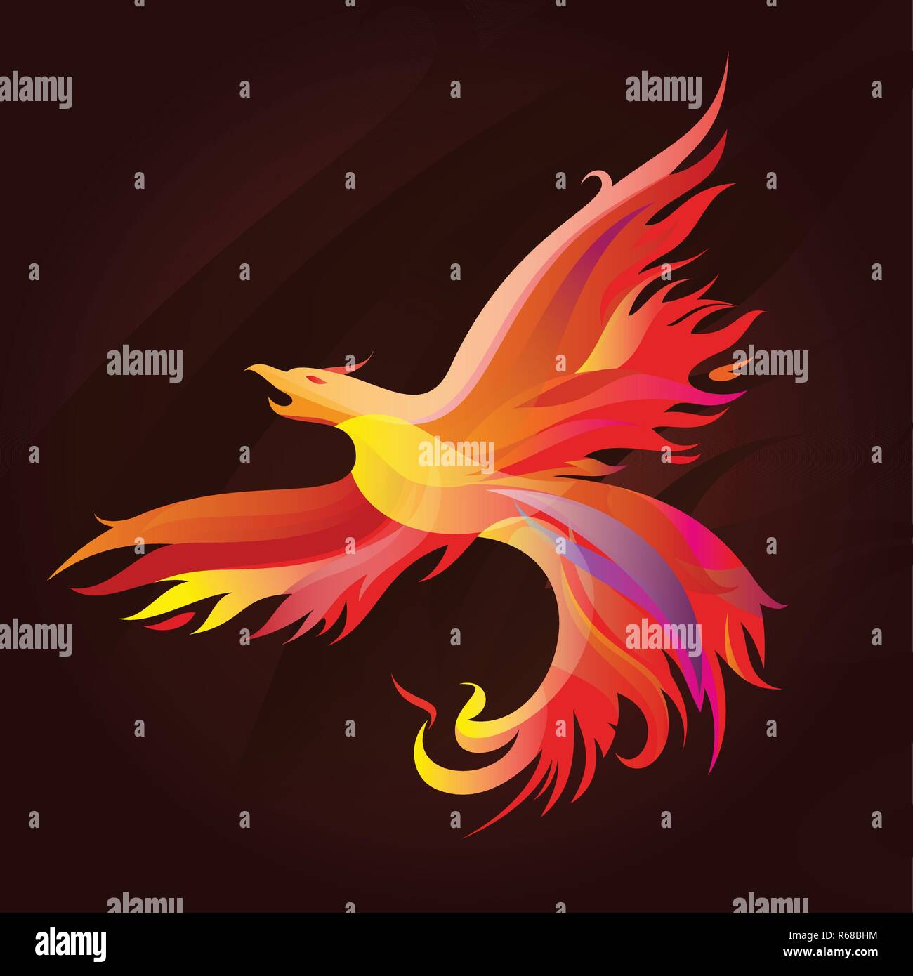 Fiery phoenix in bright colors Stock Vector Image & Art - Alamy