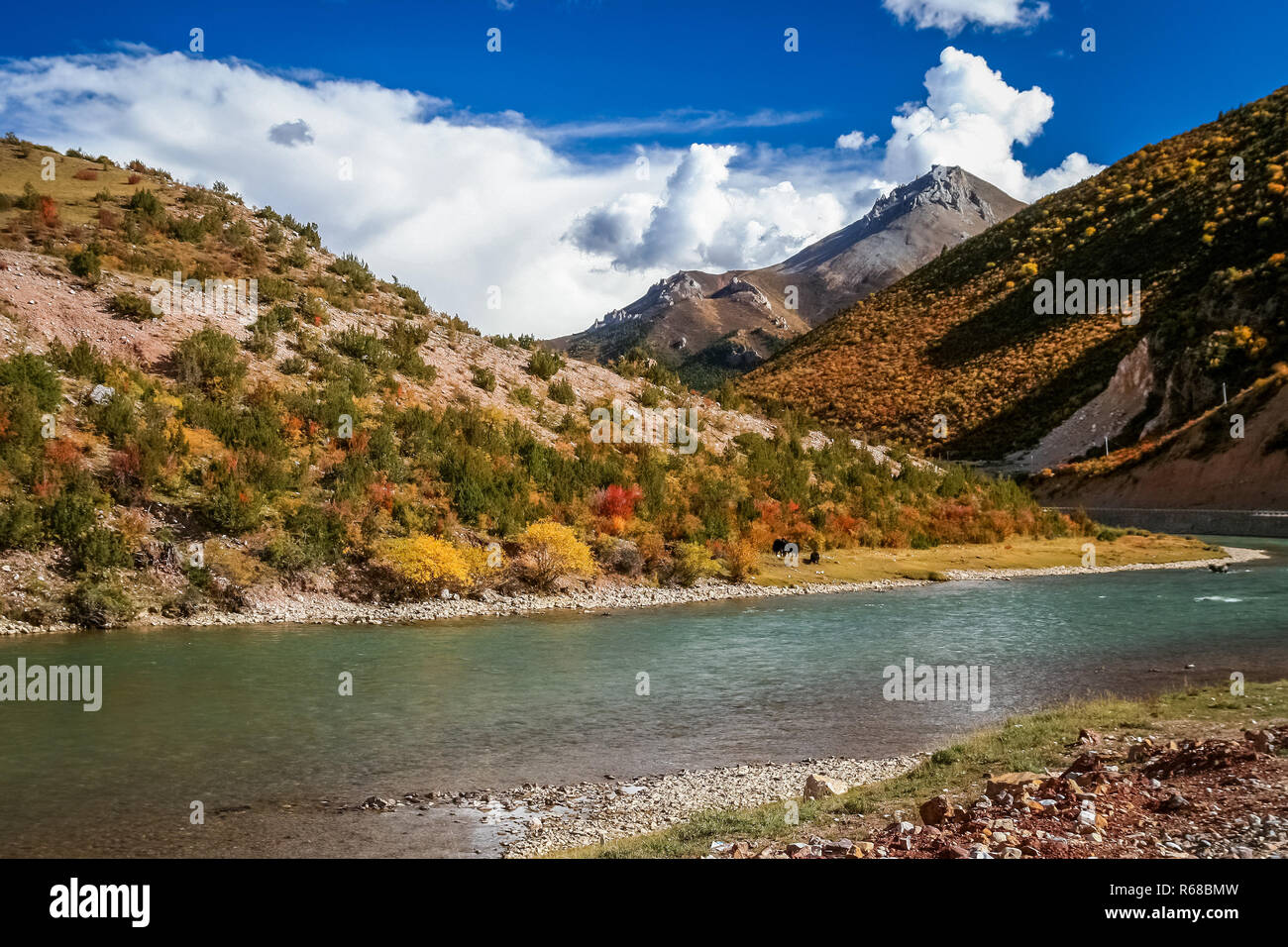 Tibetan river landscape Stock Photo - Alamy