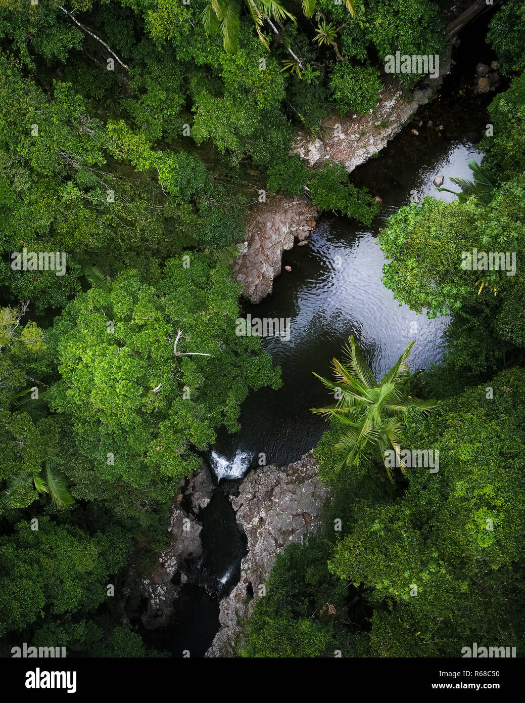 View above a jungle in Australia Stock Photo - Alamy
