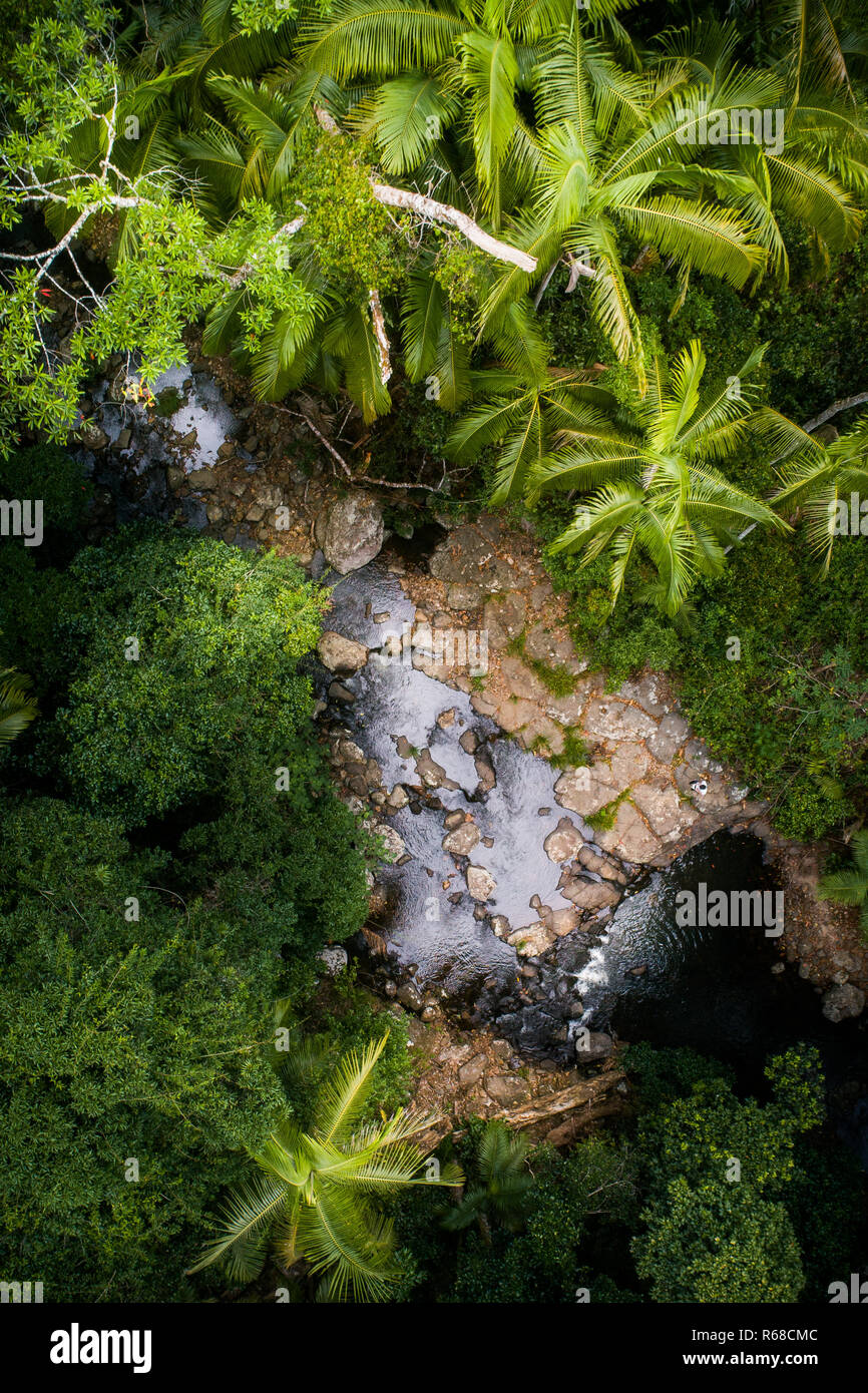 View above a jungle in Australia Stock Photo - Alamy