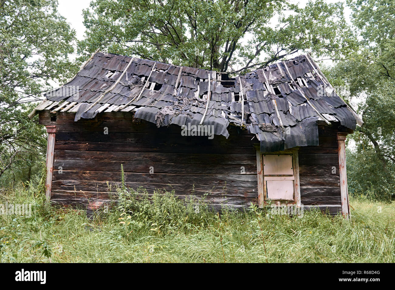 old wooden house in the forest Stock Photo - Alamy