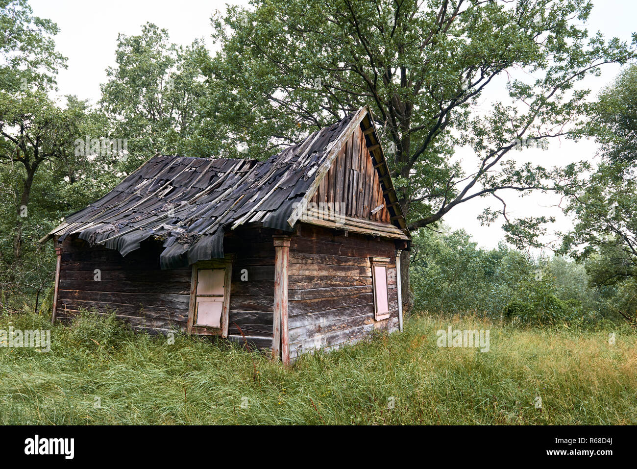 old wooden house in the forest Stock Photo - Alamy