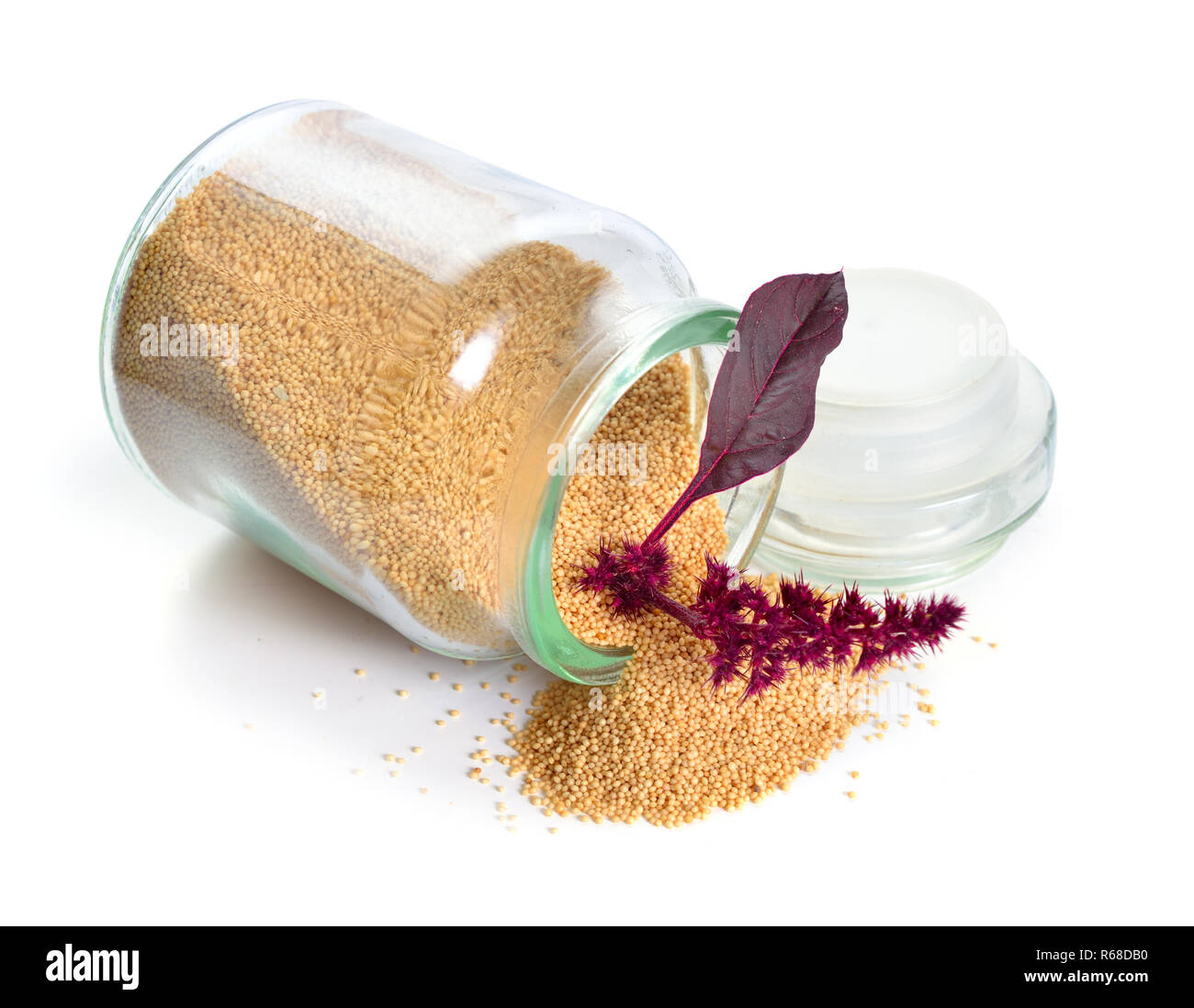 Seed of Amaranthus, collectively known as amaranth Isolated Stock Photo ...
