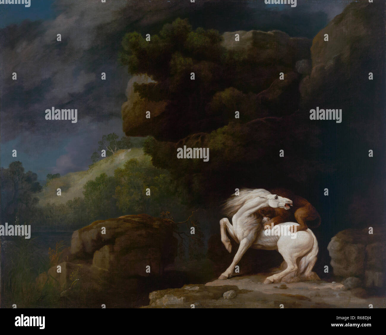 Quick horse hi-res stock photography and images - Alamy