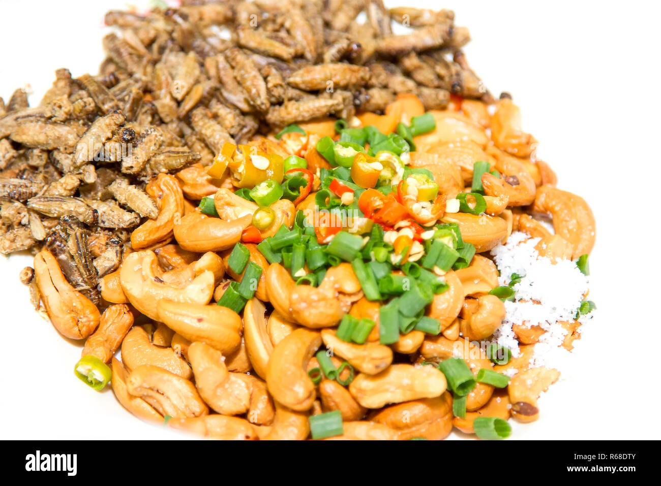 Walnut insects hi-res stock photography and images - Alamy