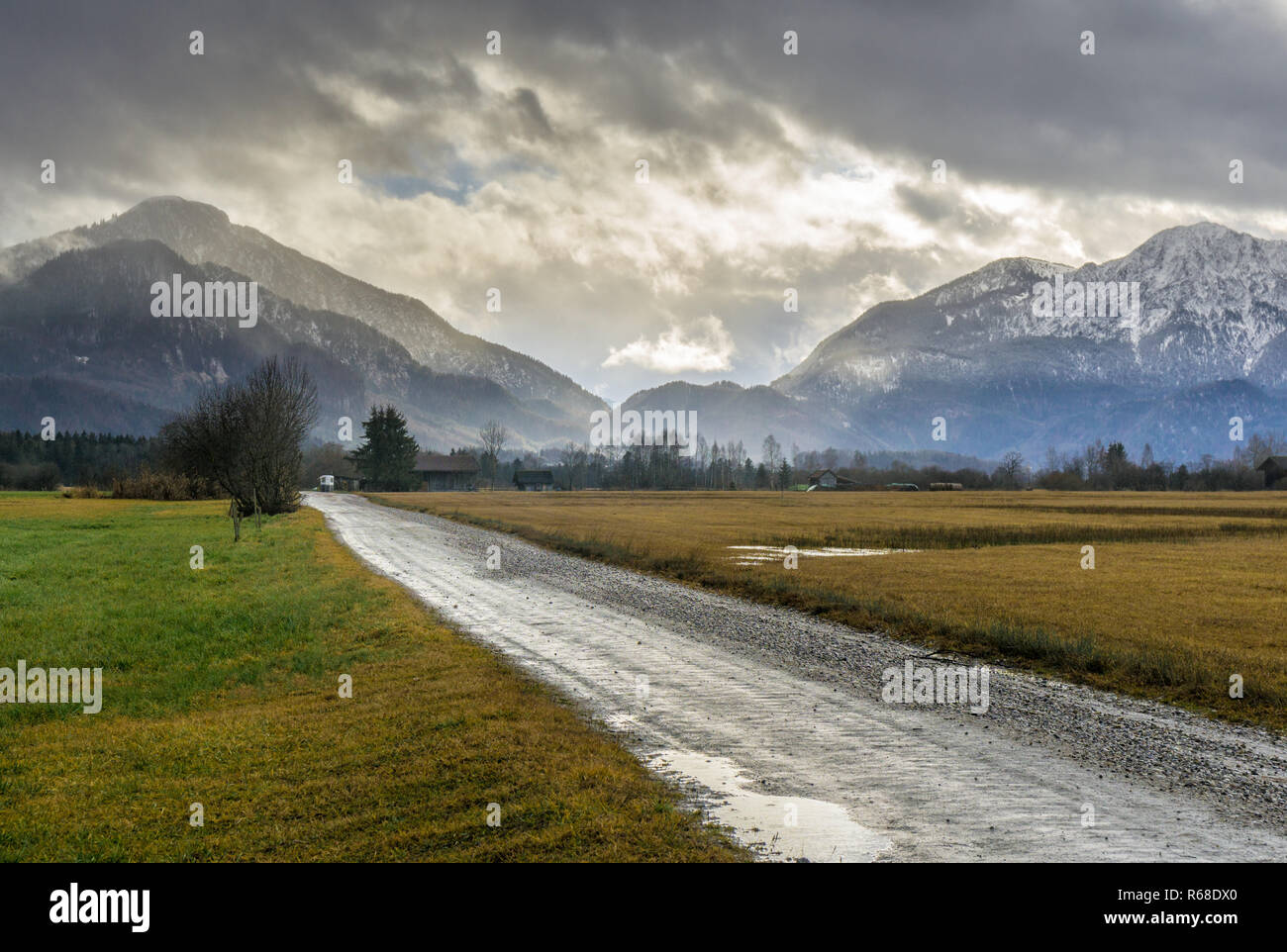 Mild frost hi-res stock photography and images - Alamy