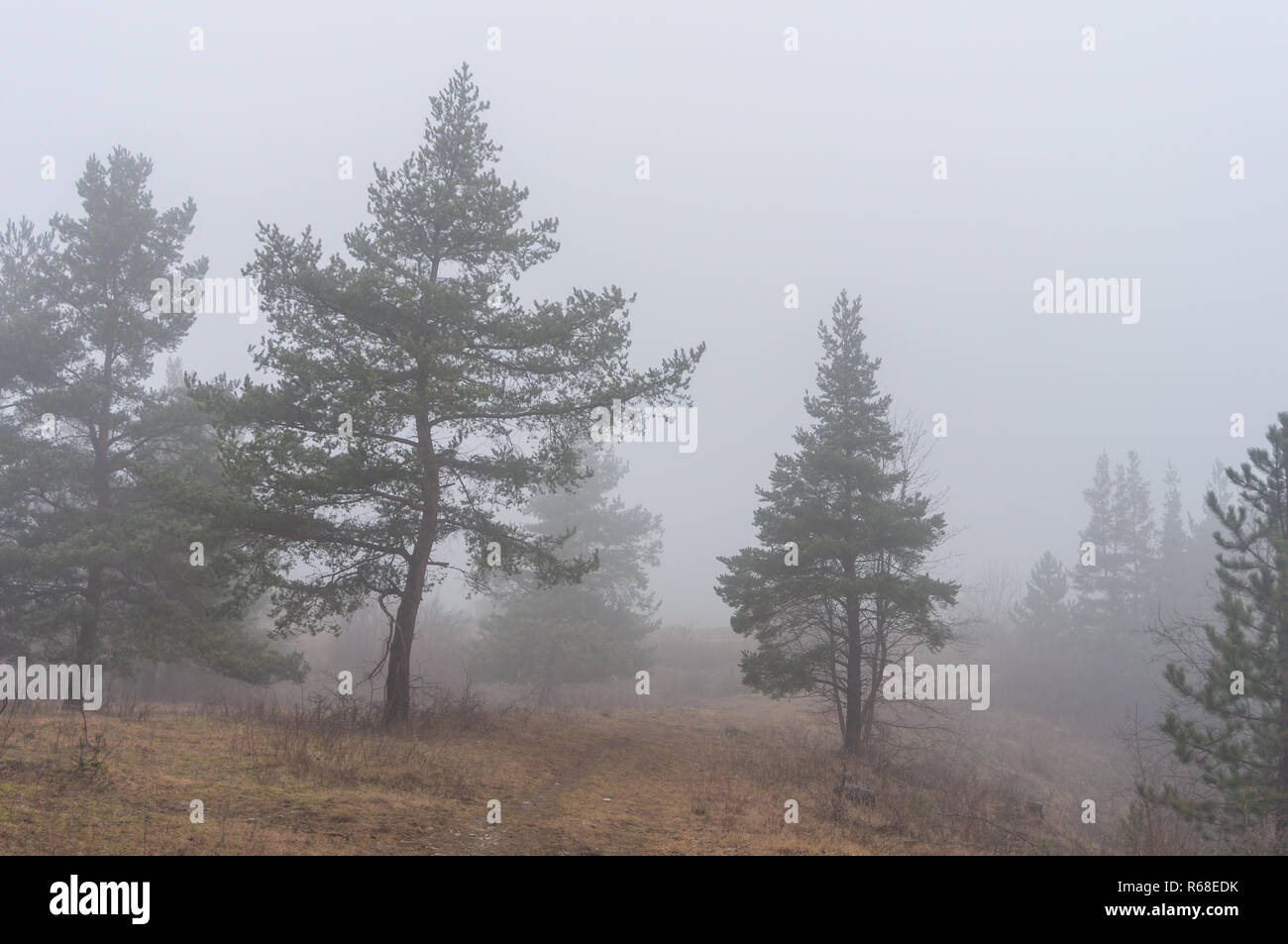 landscape in winter without snow Stock Photo - Alamy