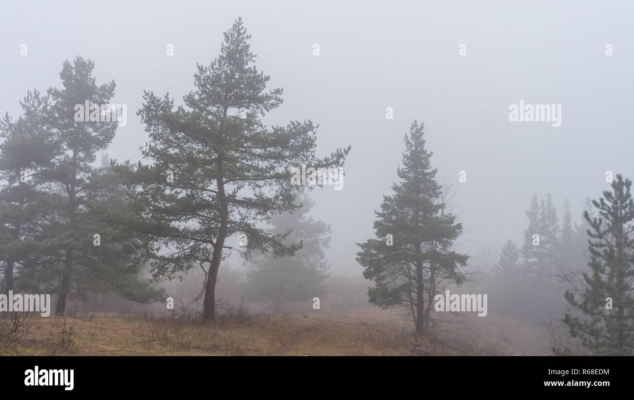 landscape in winter without snow Stock Photo - Alamy