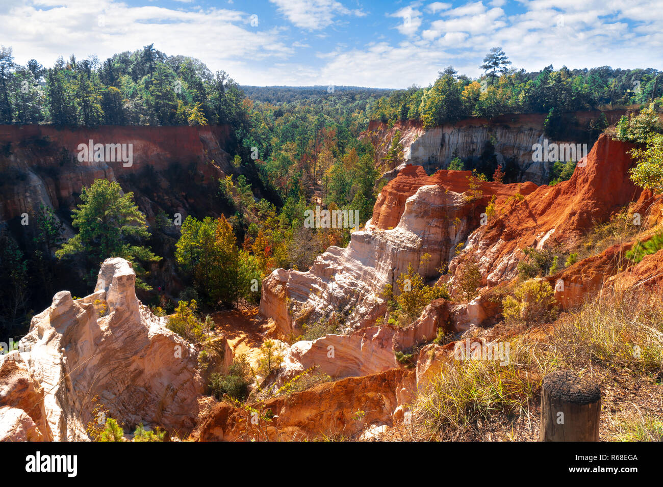 Little Grand Canyon (Providence Canyon State Park) in Lumpkin, Georgia ...