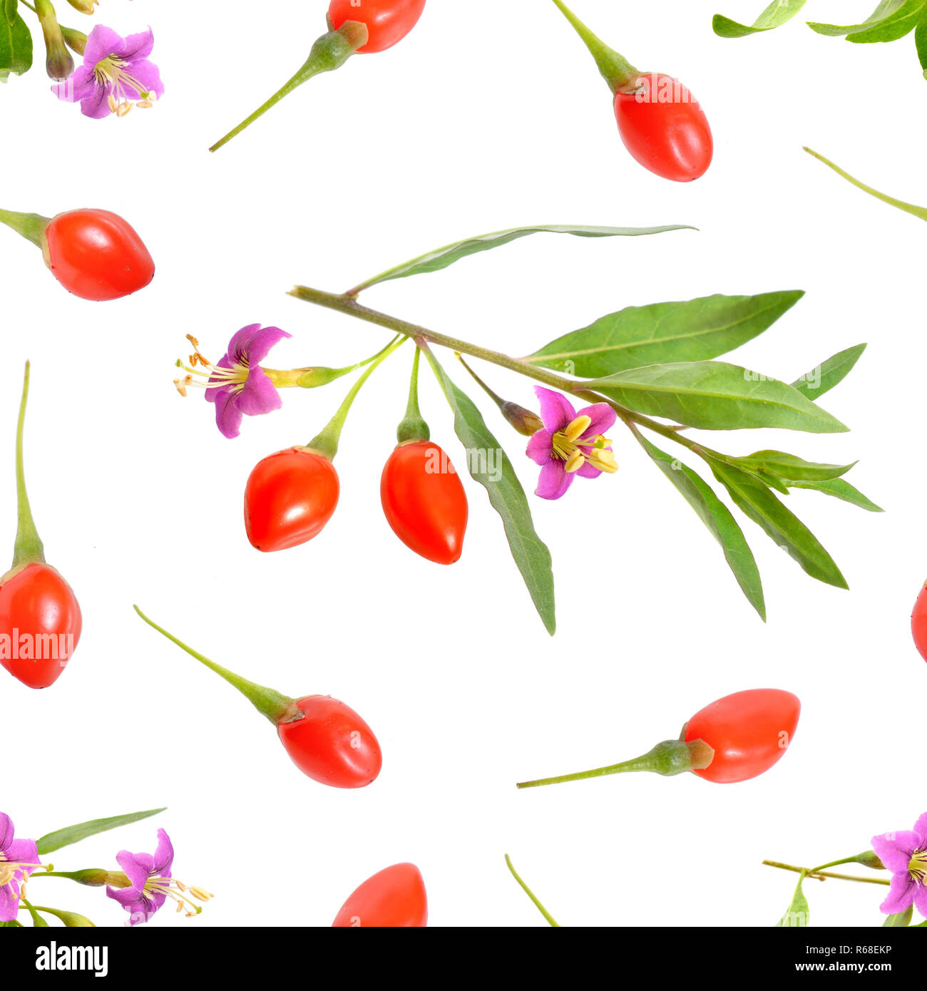 Goji berries or Lycium barbarum with flowers isolated on white ...