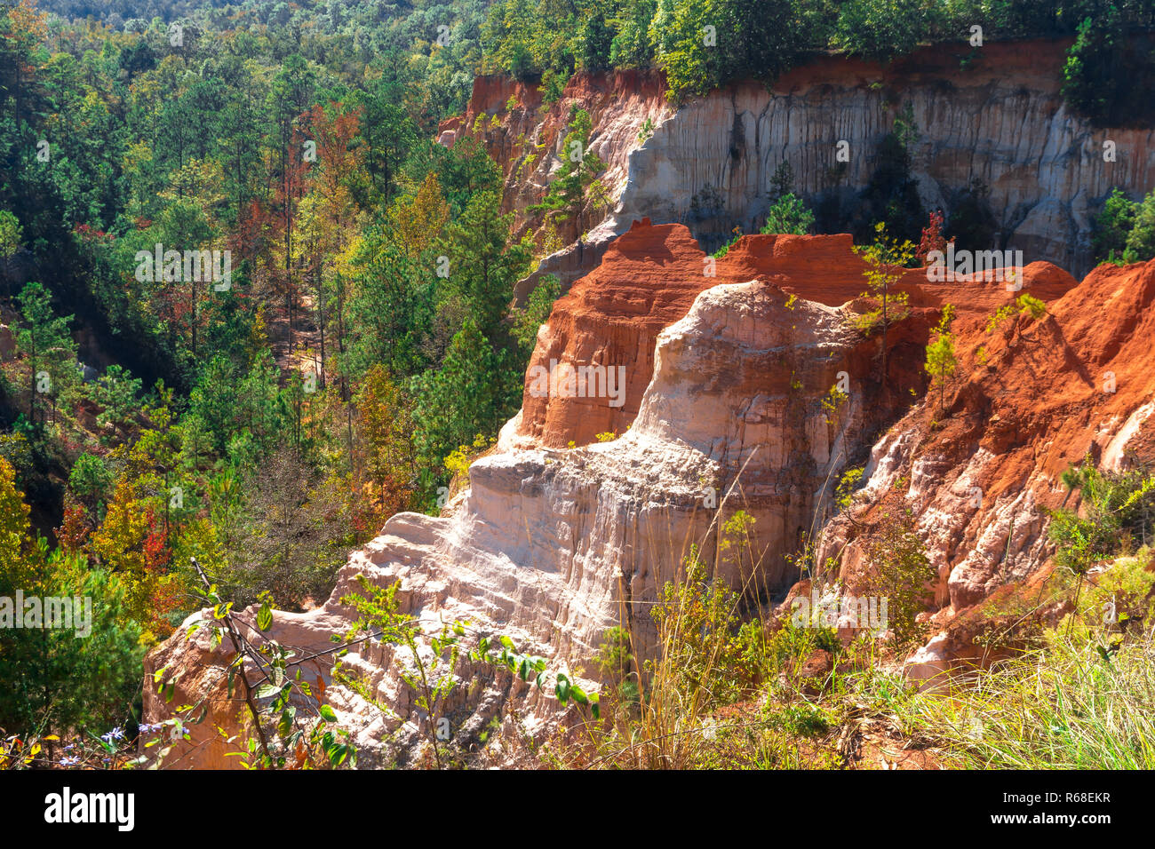 Little Grand Canyon (Providence Canyon State Park) in Lumpkin, Georgia ...