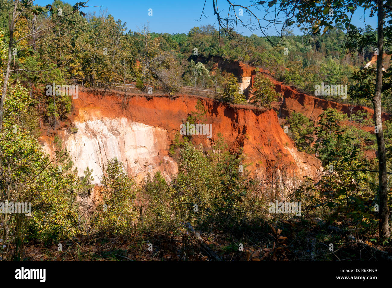 Little Grand Canyon (Providence Canyon State Park) in Lumpkin, Georgia ...
