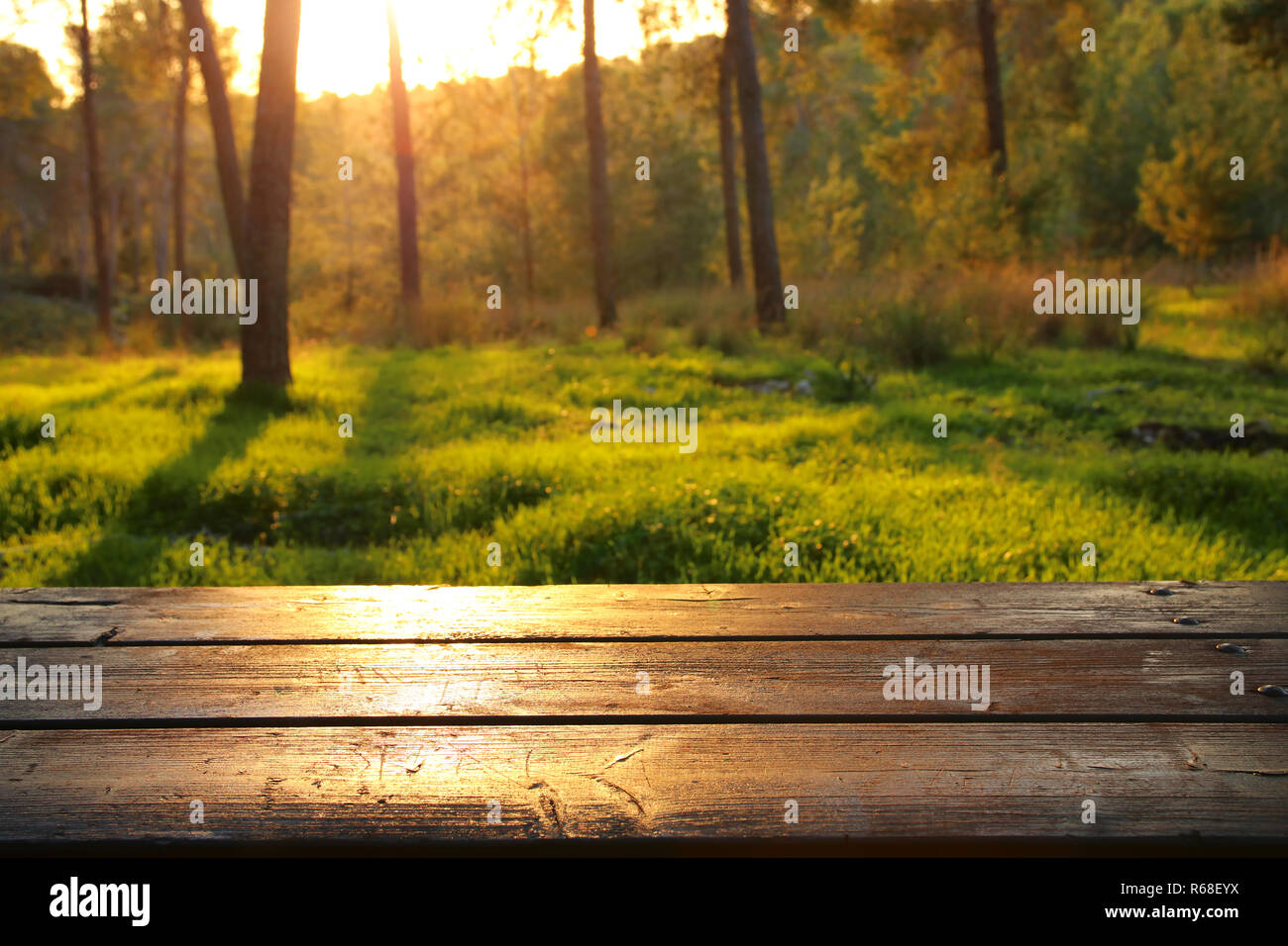 image of front rustic wood boards and background forest Stock Photo - Alamy