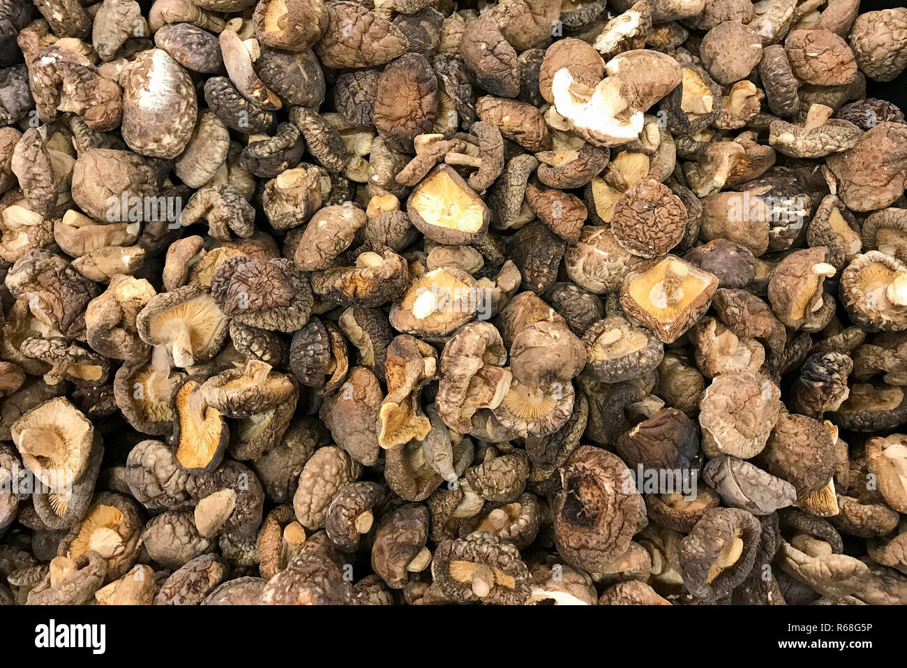 Many shiitake dry for cooking Stock Photo - Alamy