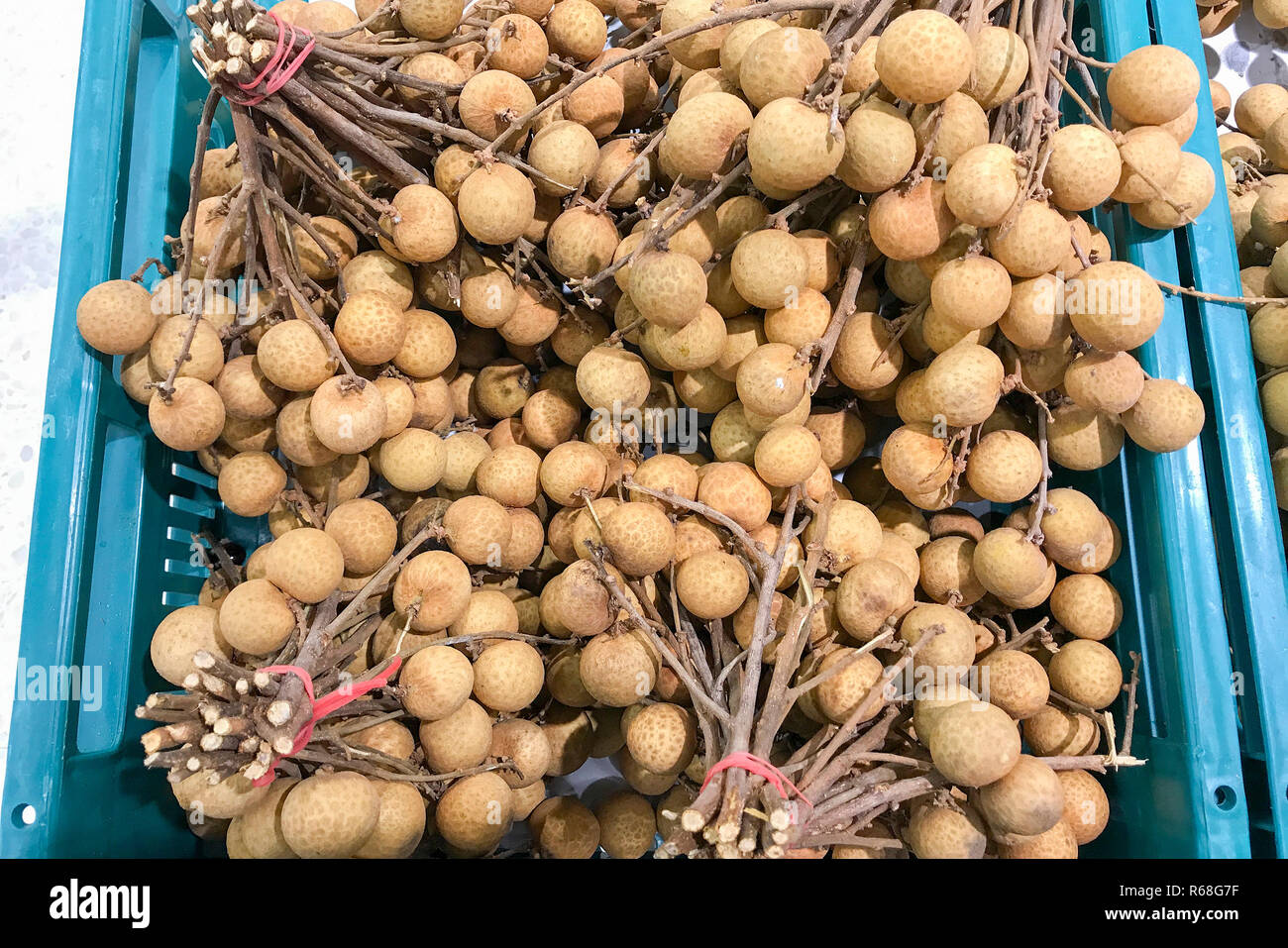 Dimocarpus longan tree hi-res stock photography and images - Alamy