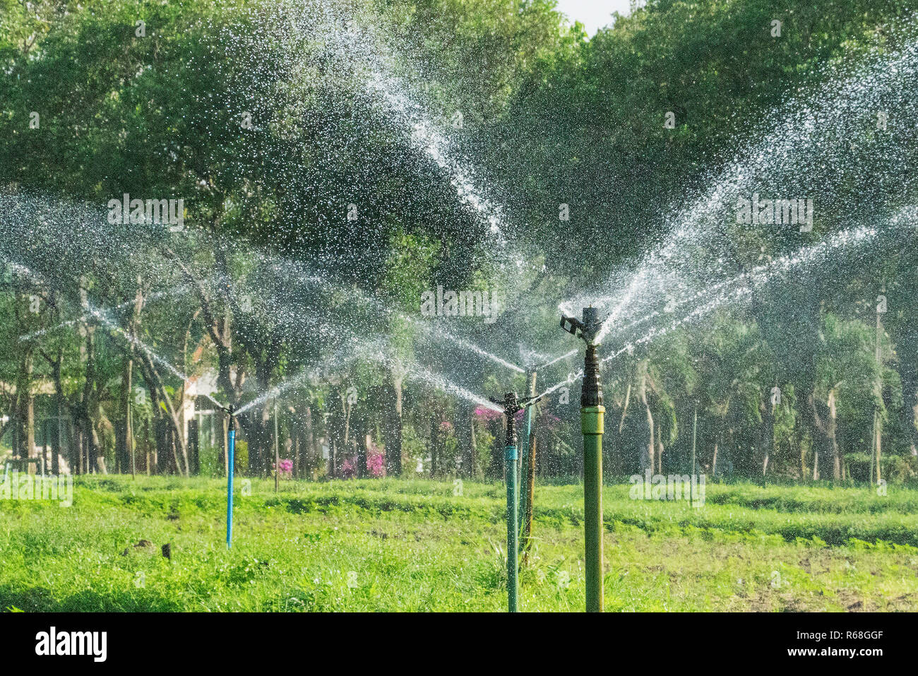 Water springer sprayed In the garden with green background Stock Photo ...