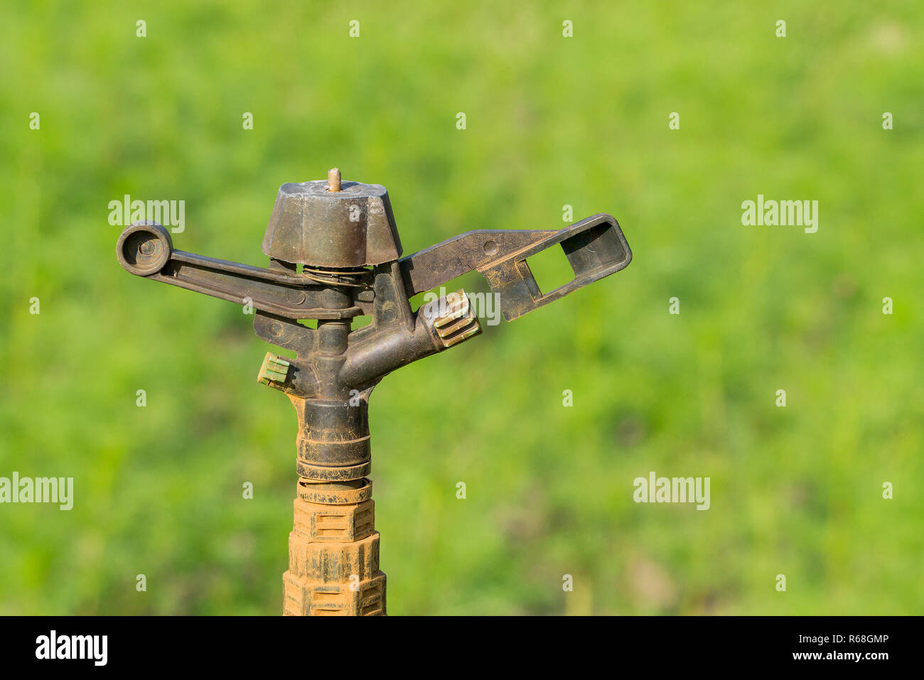 Springer water tree hi-res stock photography and images - Alamy
