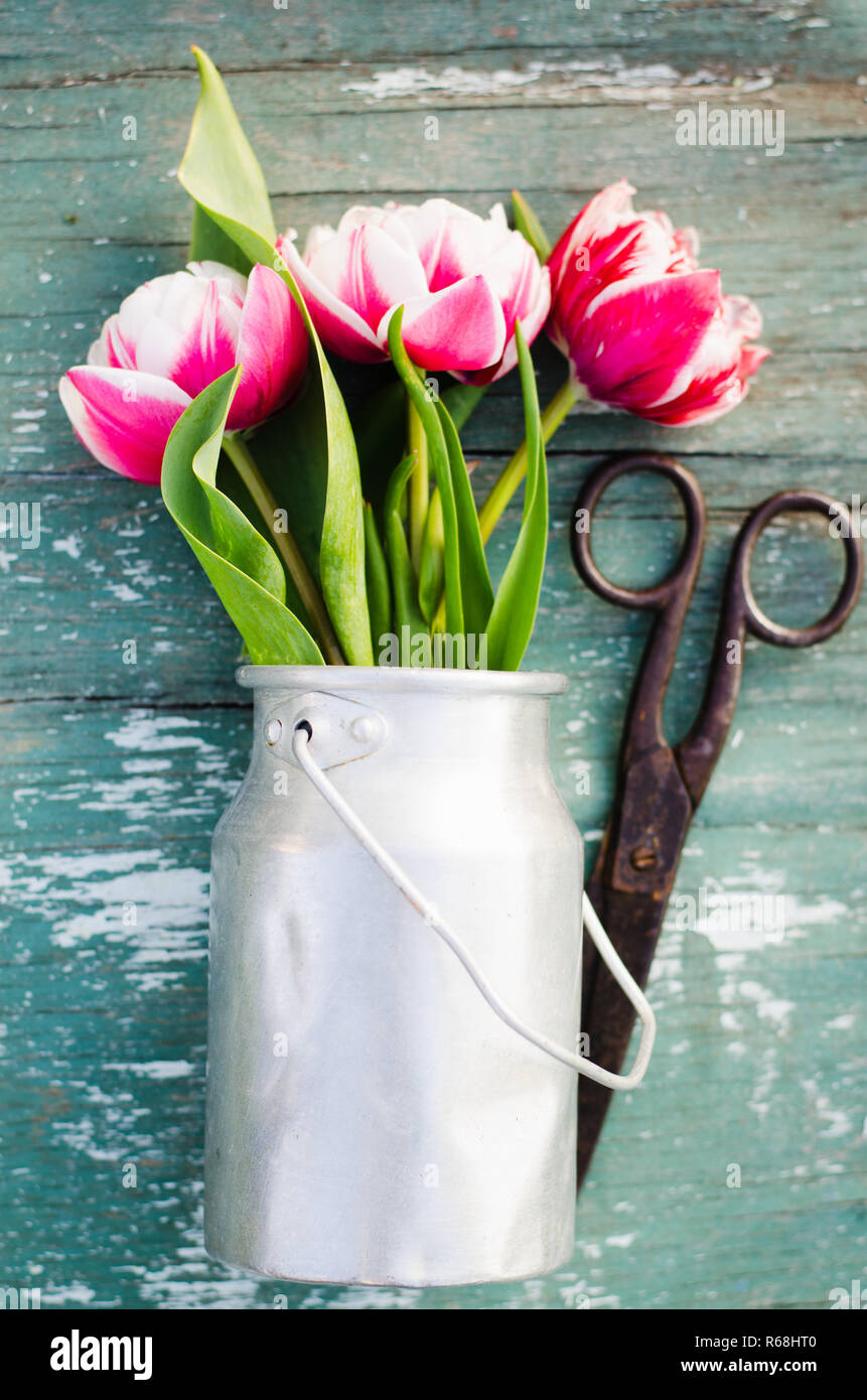 Bouquet of tulips in an aluminum can Stock Photo - Alamy
