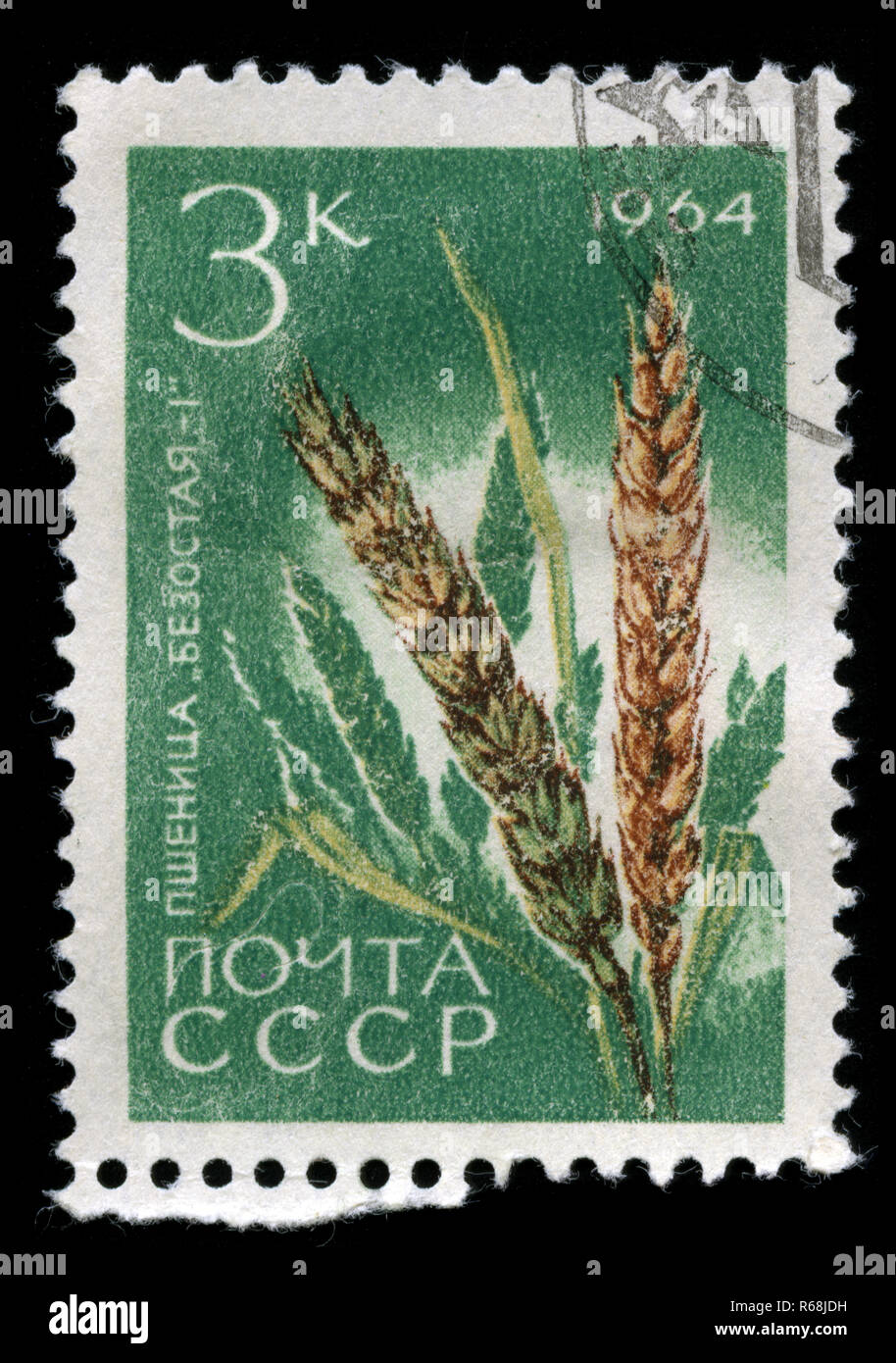 Postage stamp from the Soviet Union, USSR in the Agricultural Crops ...