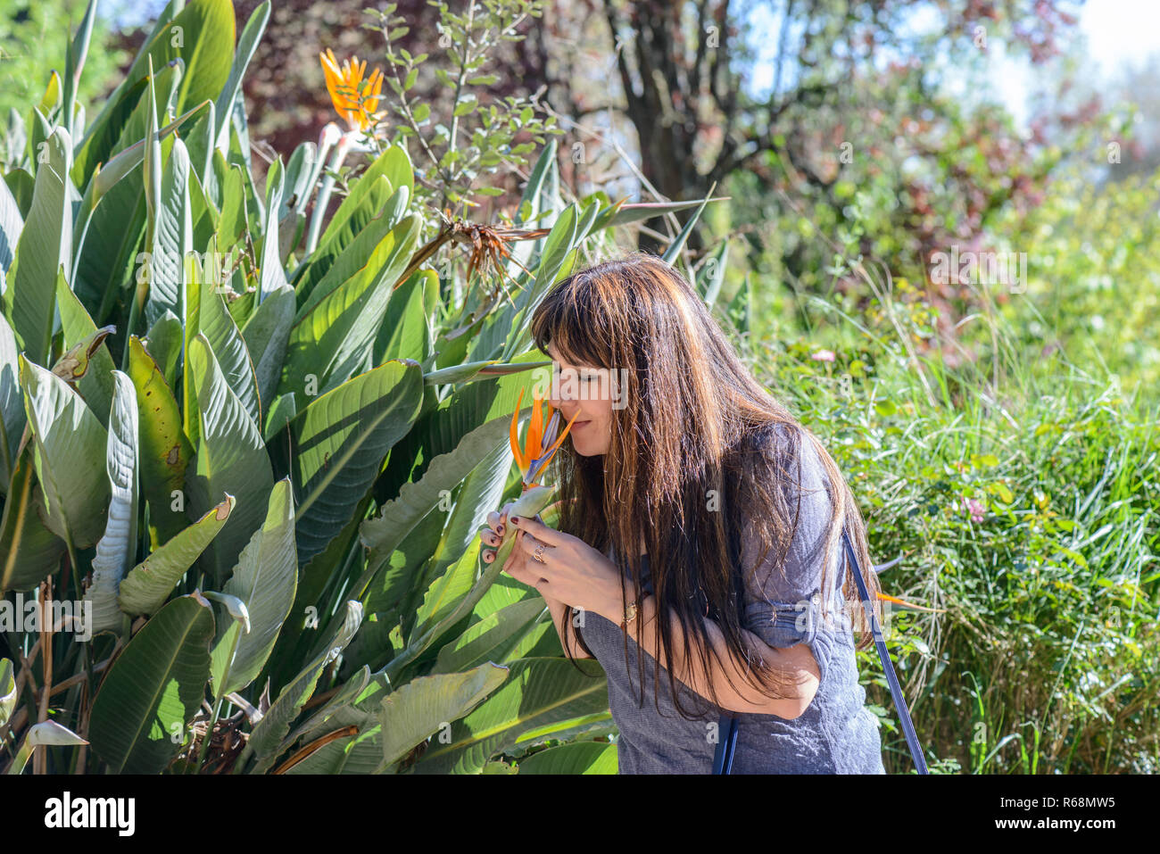 Nice girl sniffing Stock Photo - Alamy