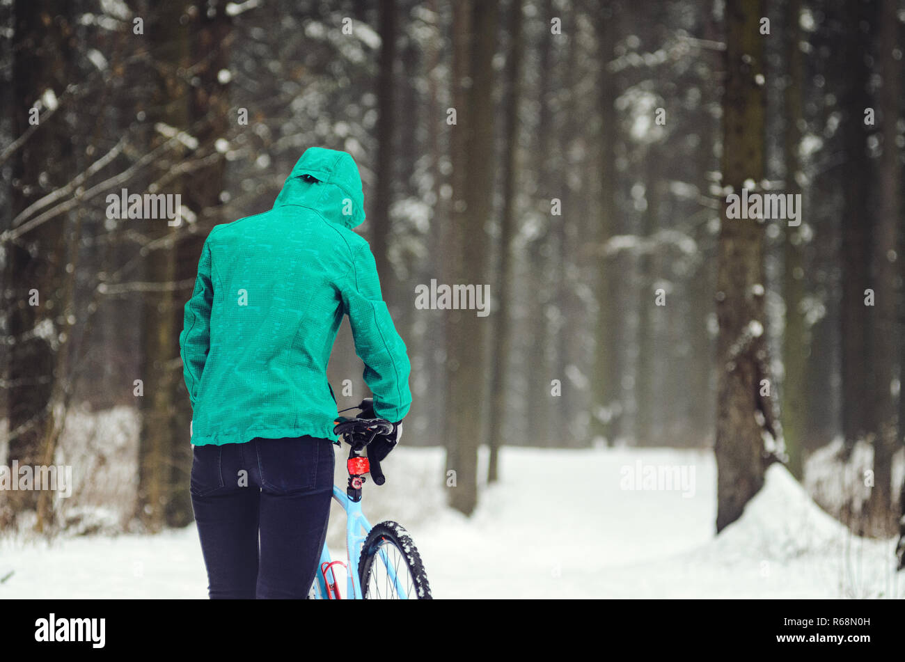 Cyclist on cyclocross bike trails in the snowy forest in winter. Winter ...