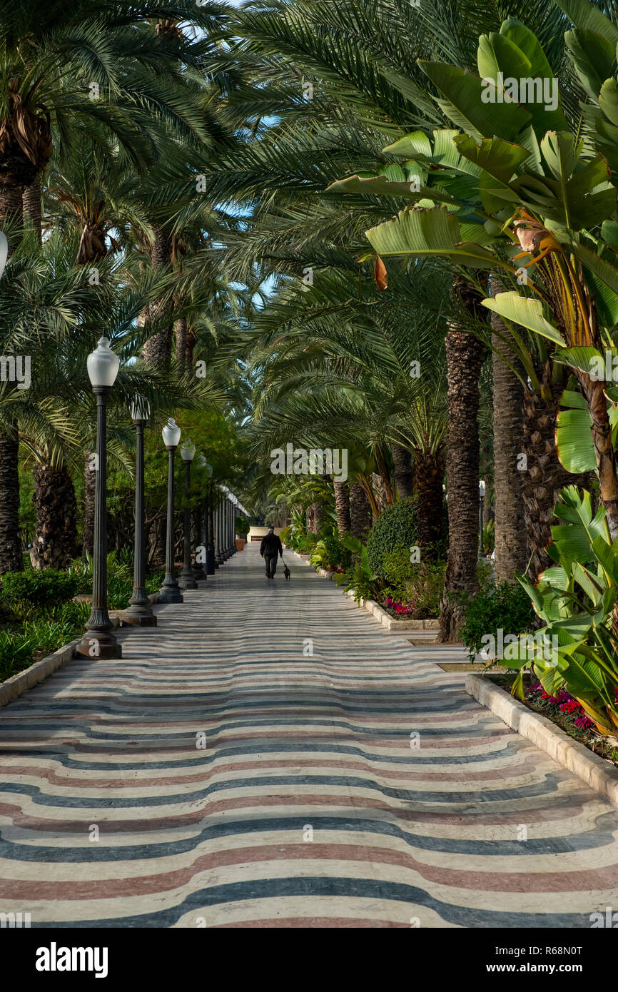 Explanada Promenade, Alicante, Costa Blanca, Spain, Europe Stock Photo ...