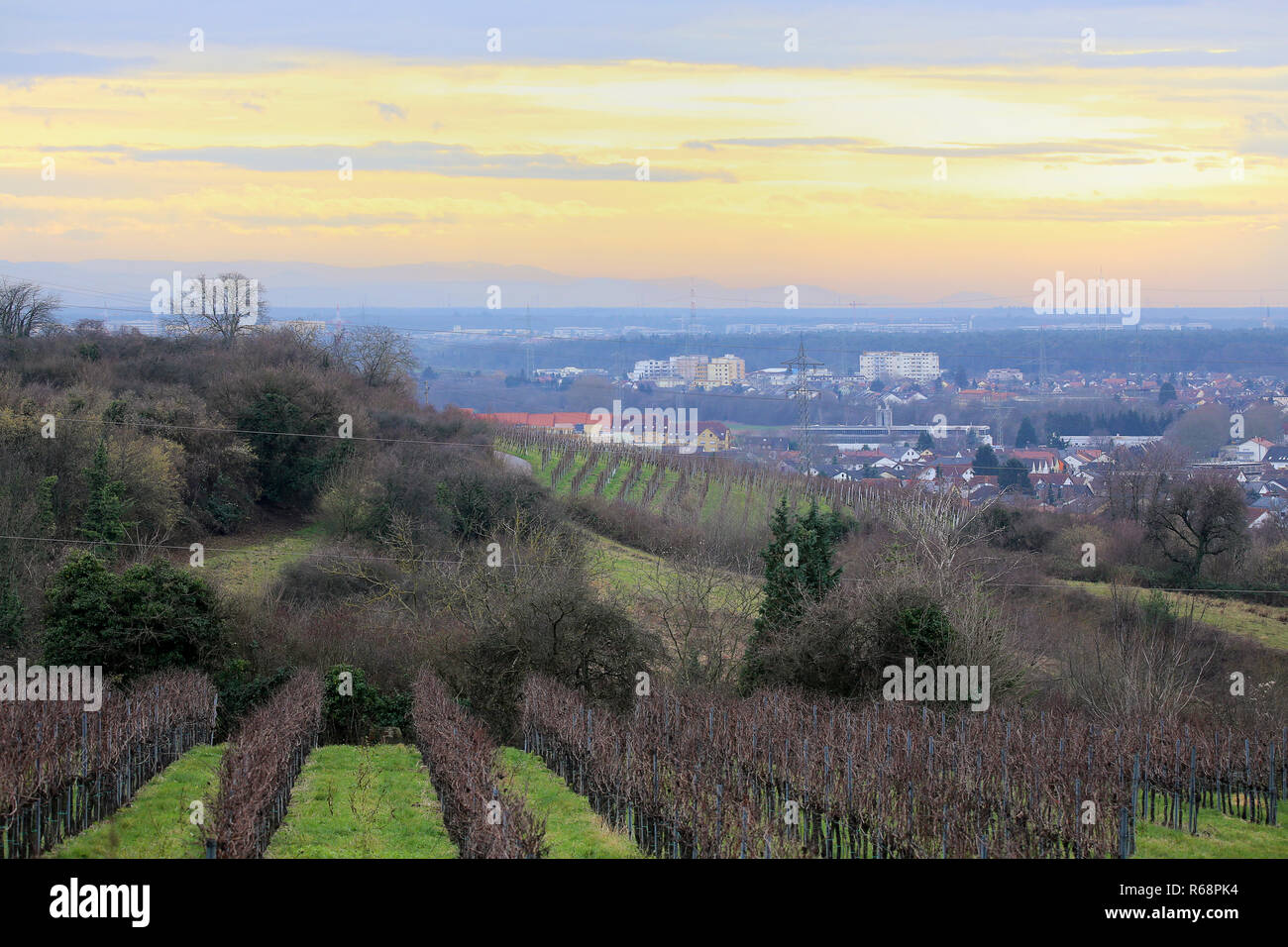 Leimenmitte hi-res stock photography and images - Alamy