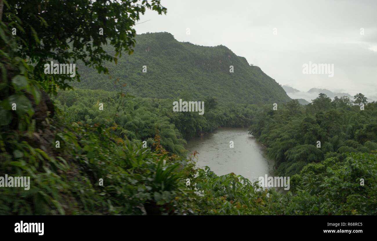 Legendary plants hi-res stock photography and images - Alamy