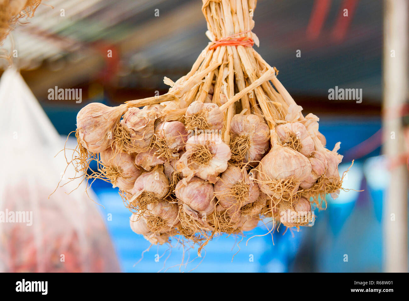Dried garlic bunch together Stock Photo - Alamy