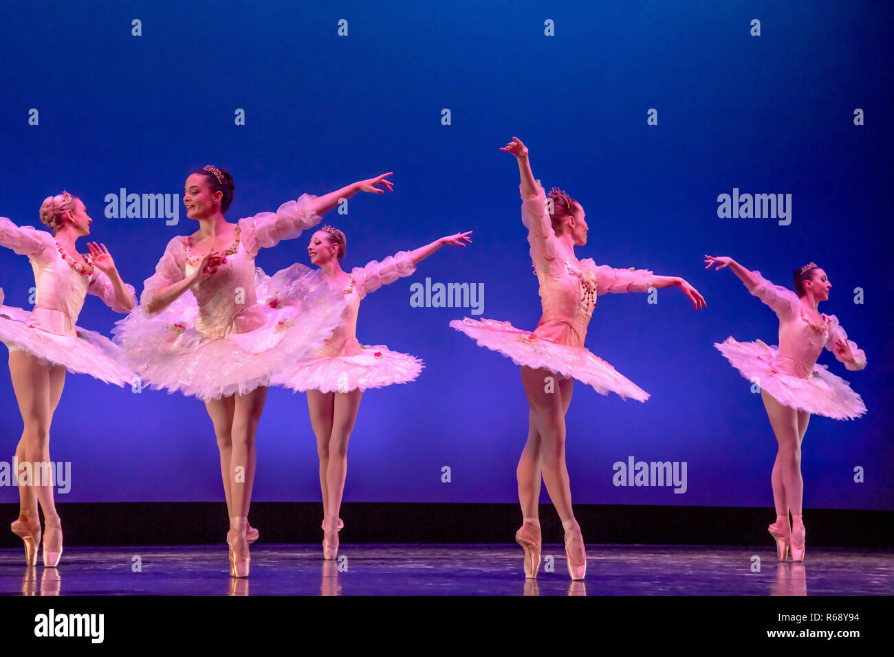 Classical concerto hi-res stock photography and images - Alamy