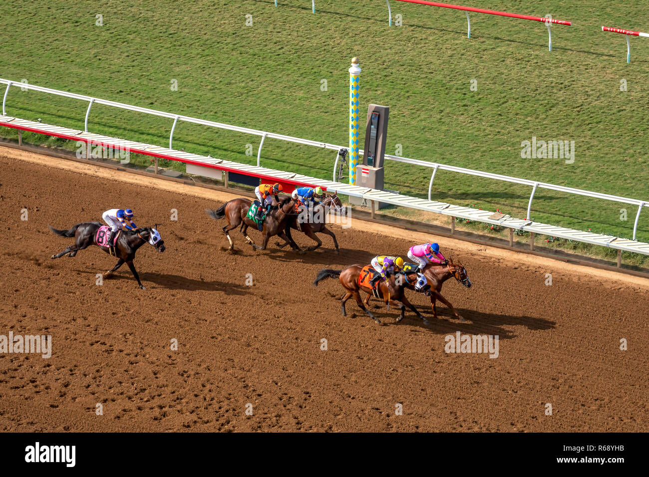 Horse Racing Game Stock Photos & Horse Racing Game Stock Images - Alamy