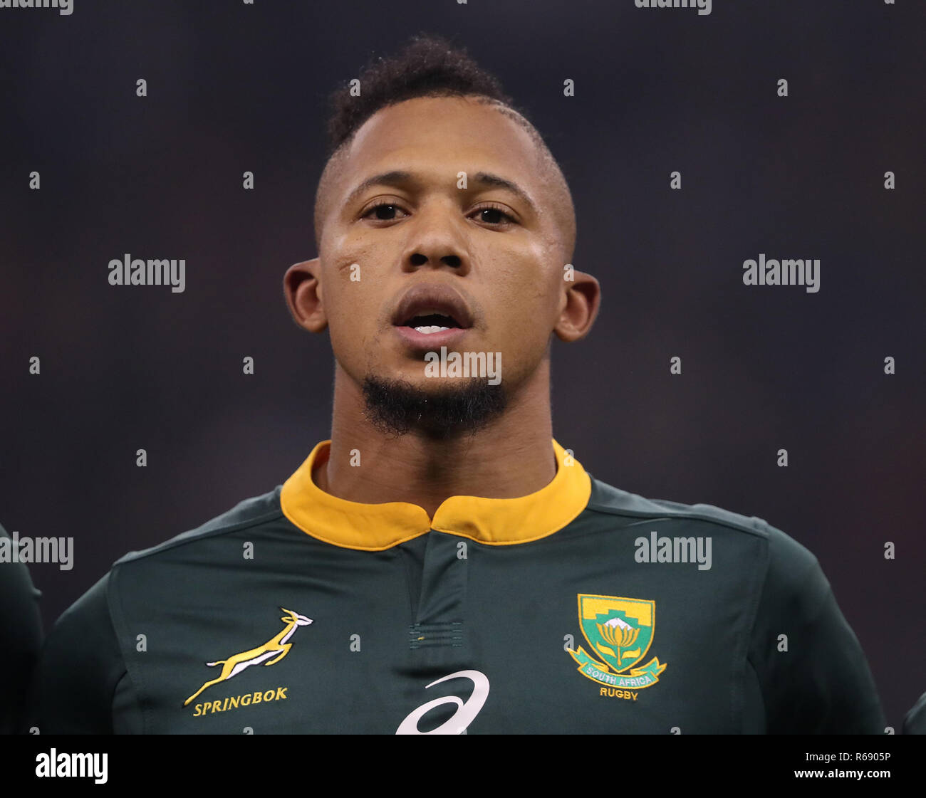 Elton Jantjies Springboks