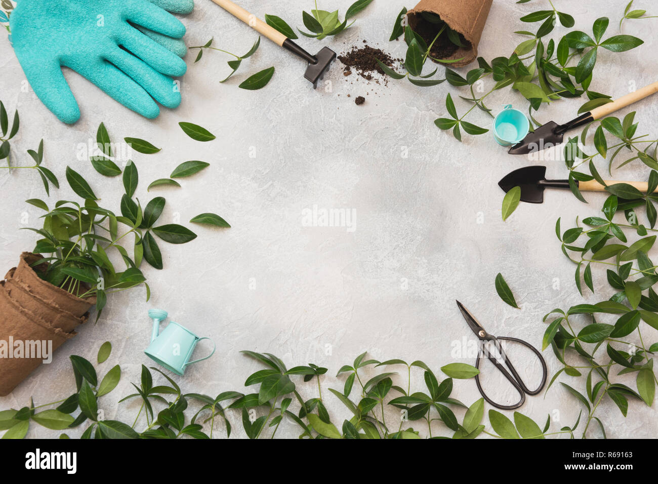 Gardening spring concept with green leaves and tools. Flat lay. Earth ...