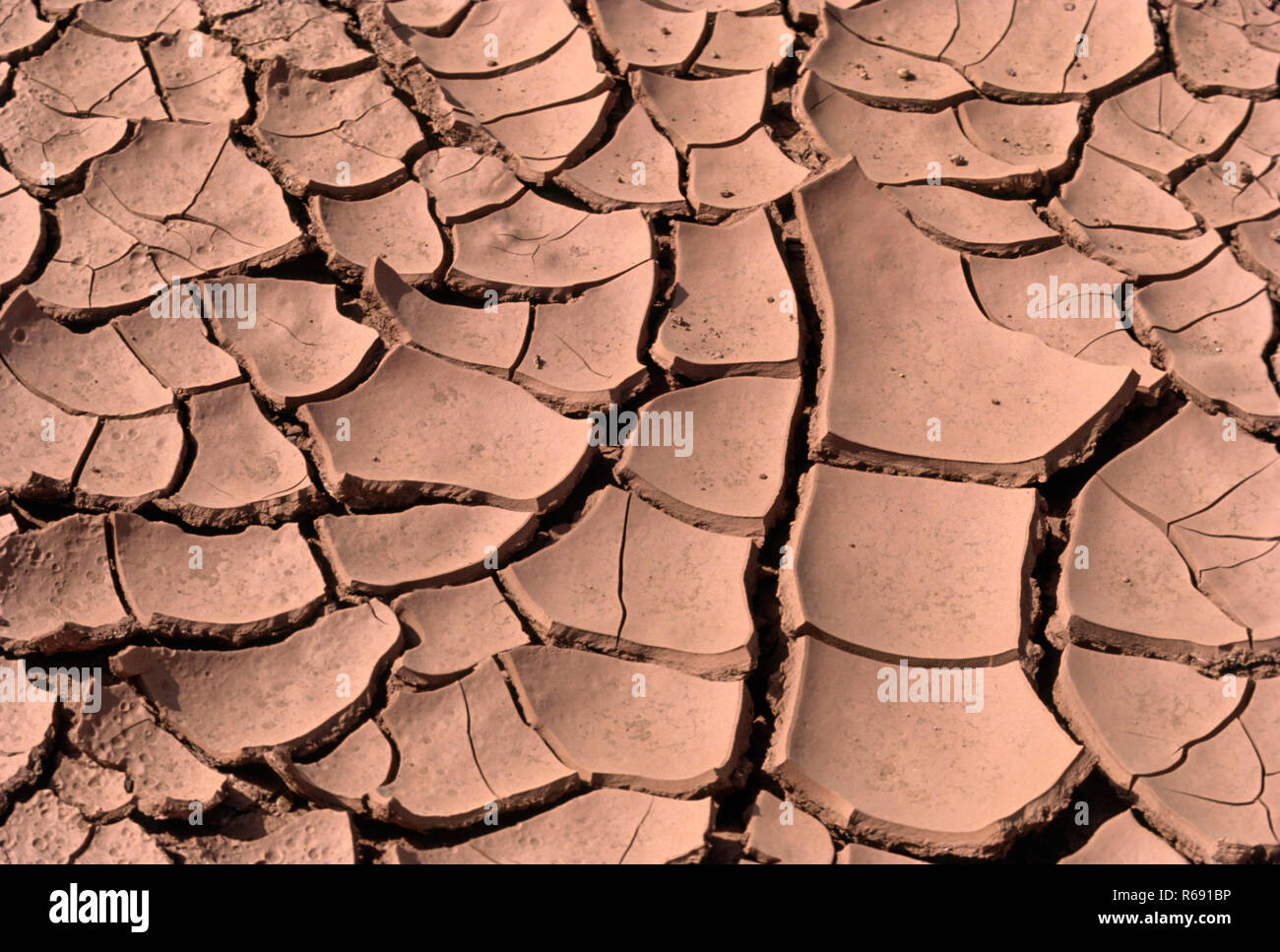 Barren Land Stock Photos & Barren Land Stock Images - Alamy