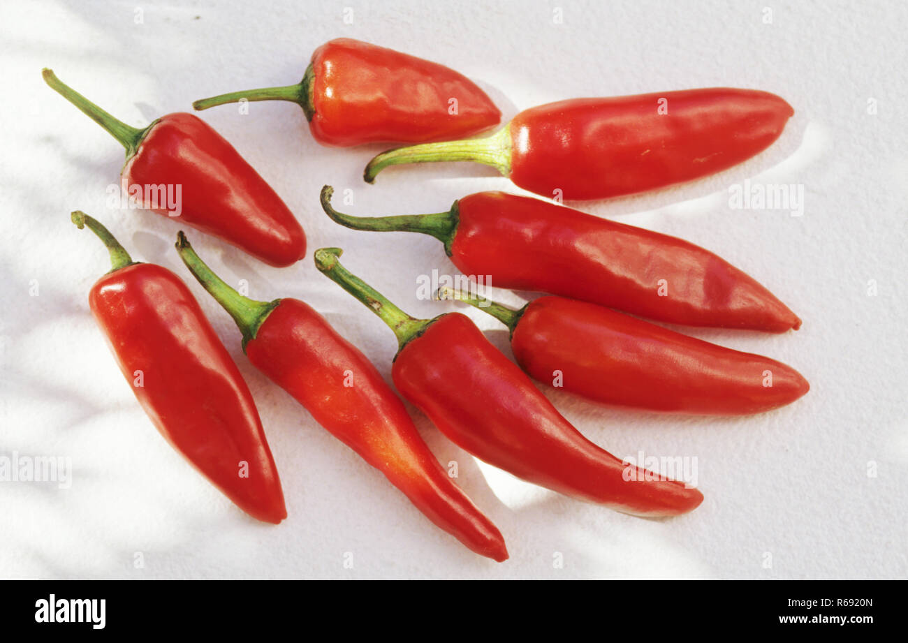 Red Chili, Red Chilies, Red Chilli, Red Chillies, Red Chile, Red pepper ...