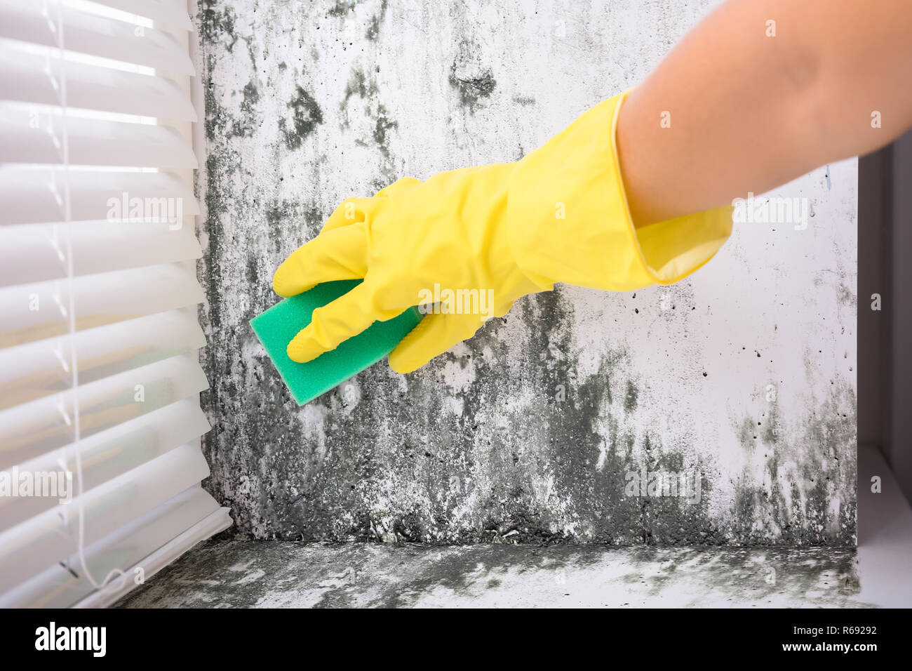Mold sponge rubber hi-res stock photography and images - Alamy