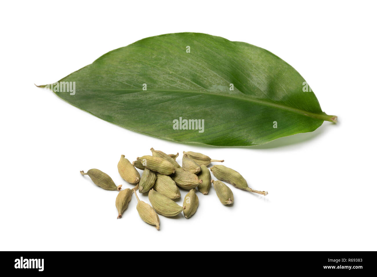 Cardamom leaf plant hi-res stock photography and images - Alamy